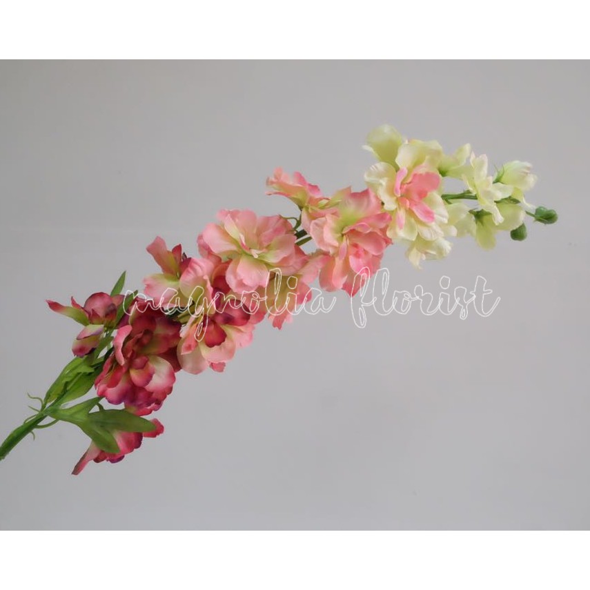 Jual Bunga Delphinium | Shopee Indonesia