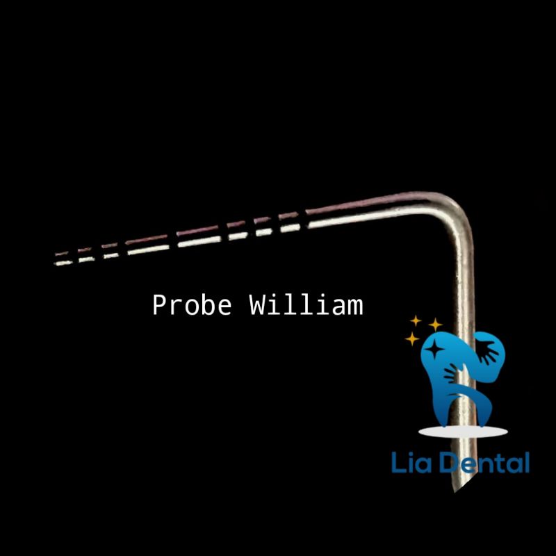 Jual PROBE WILLIAM / PROBE WHO PERFECT | Shopee Indonesia