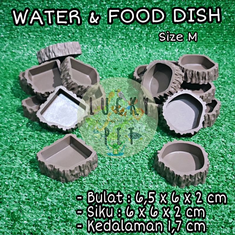 Jual Water dish MEDIUM feeding dish food worm calcium dish bowl mangkuk ...