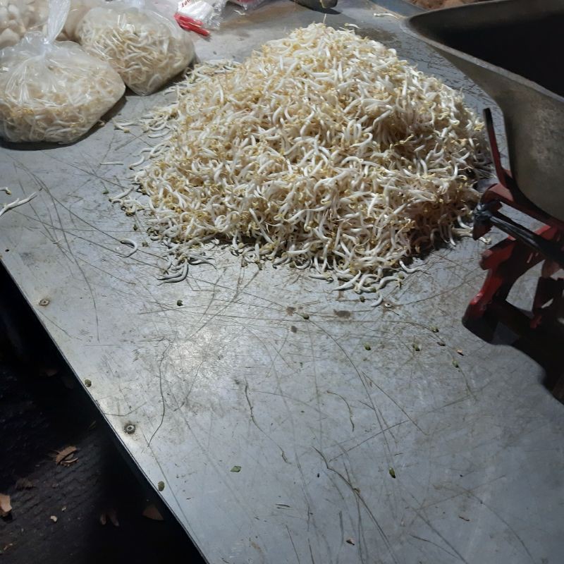 Jual Toge/ Tauge 1kg (1000g) | Shopee Indonesia