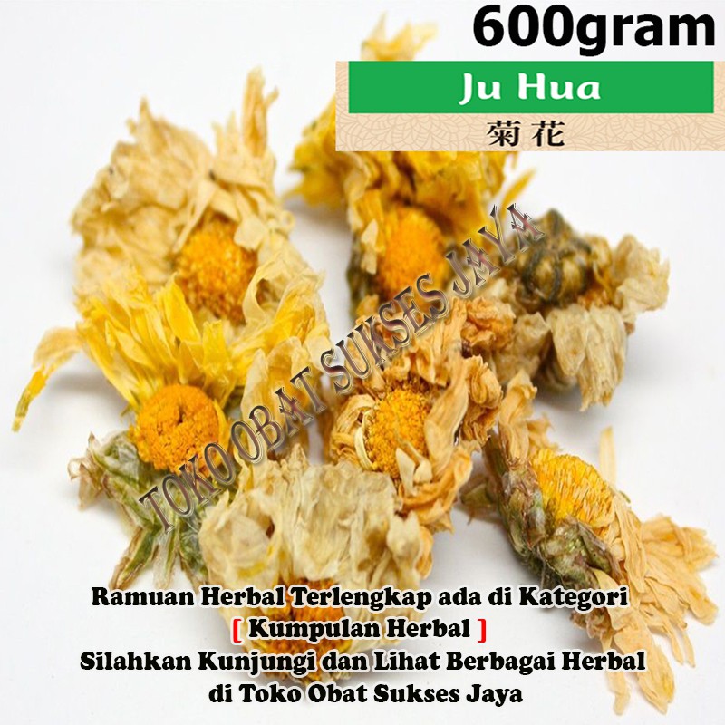 Jual [600gram] Ju Hua / Teh Bunga Krisan / Chrysanthemum Flower - [ 菊花 ...