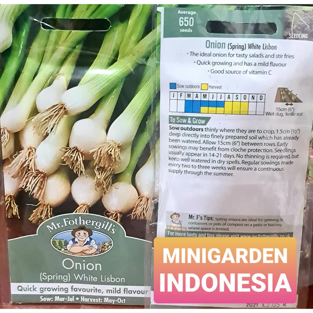 Jual Benih Daun Bawang ONION WHITE LISBON (Spring) PACK 650 BIJI bibit ...