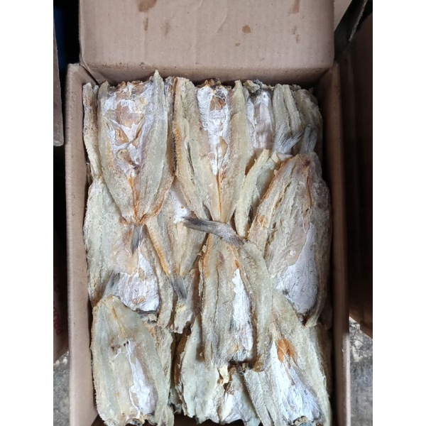 Jual ikan asin GABUS LAUT/BLOSO BELAH KERING;100GRAM | Shopee Indonesia