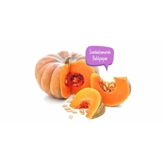 Jual labu kuning Harga Terbaik & Termurah Agustus 2025 | Shopee Indonesia