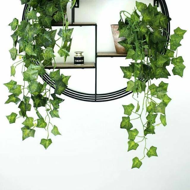 Jual ARIANI1318 DAUN BUNGA RAMBAT IVY PLASTIK SINTETIS ARTIFICIAL ...