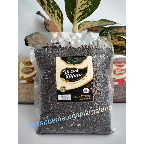 Jual Beras Hitam Kemasan Vakum l Beras Hitam Organik Kemasan Vakum l ...