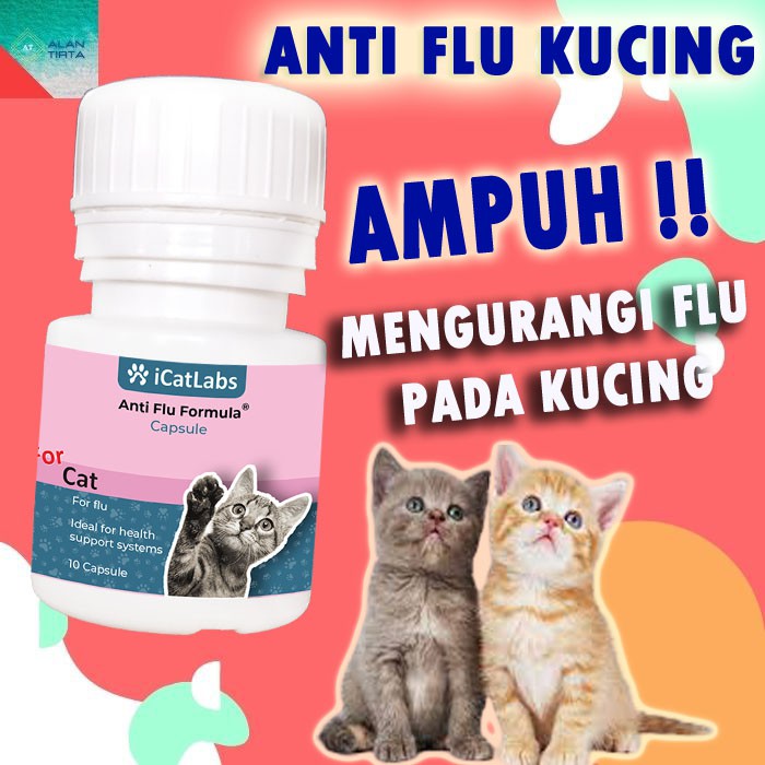 Jual Obat Terapi Kucing Flu dan Pilek Nutri Plus Gel Anti Flu Formula ...