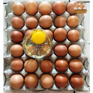 Jual Telur Ayam 1 Kg Terlengkap & Harga Terbaru April 2025 | Shopee ...