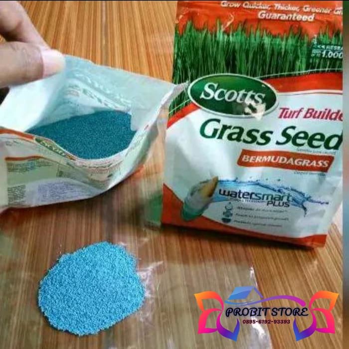Jual Produk TOP !! biji rumput AK18 | Shopee Indonesia