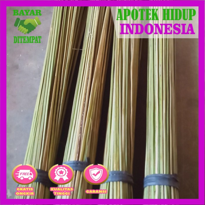 Jual sapu lidi aren/sapu lidi besar/sapu lidi kawung | Shopee Indonesia