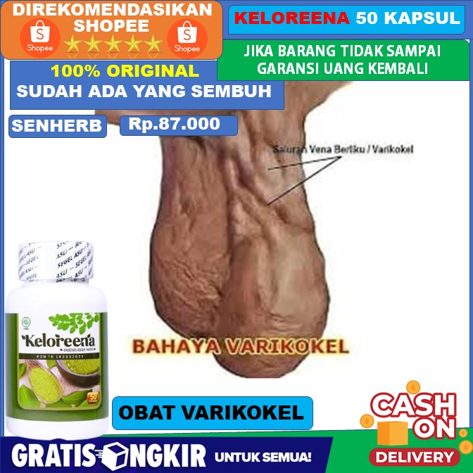 Jual OBAT VARIKOKEL HERBAL BUAH ZAKAR BENGKAK MANDUL NYERI TESTIS TURUN ...