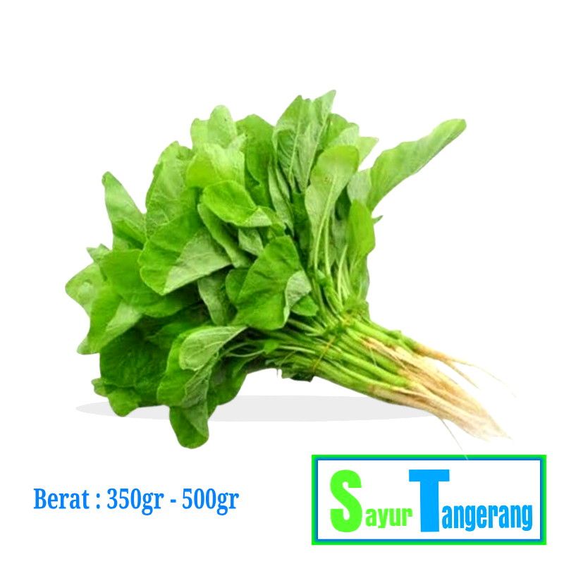 Jual SAYUR TANGERANG - BAYAM 1 IKAT SAYURAN SEGAR ISI BANYAK BERAT 350 ...