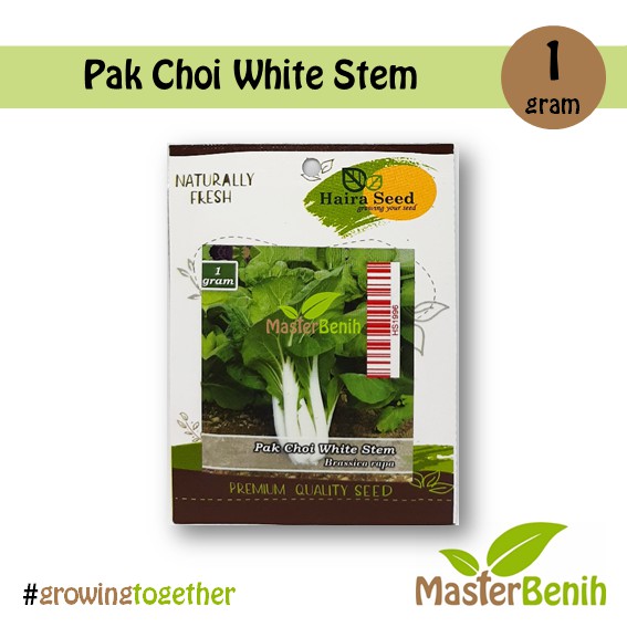 Jual Benih Pakcoy White Steam | Shopee Indonesia