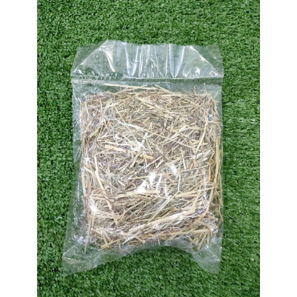 Jual Timothy Hay | Shopee Indonesia