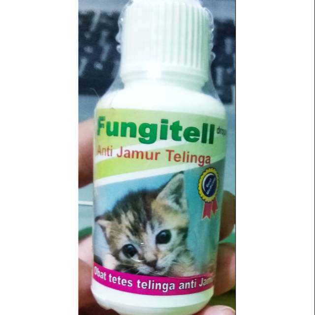 Jual Fungitell anti jamur telinga pada kucing | Shopee Indonesia