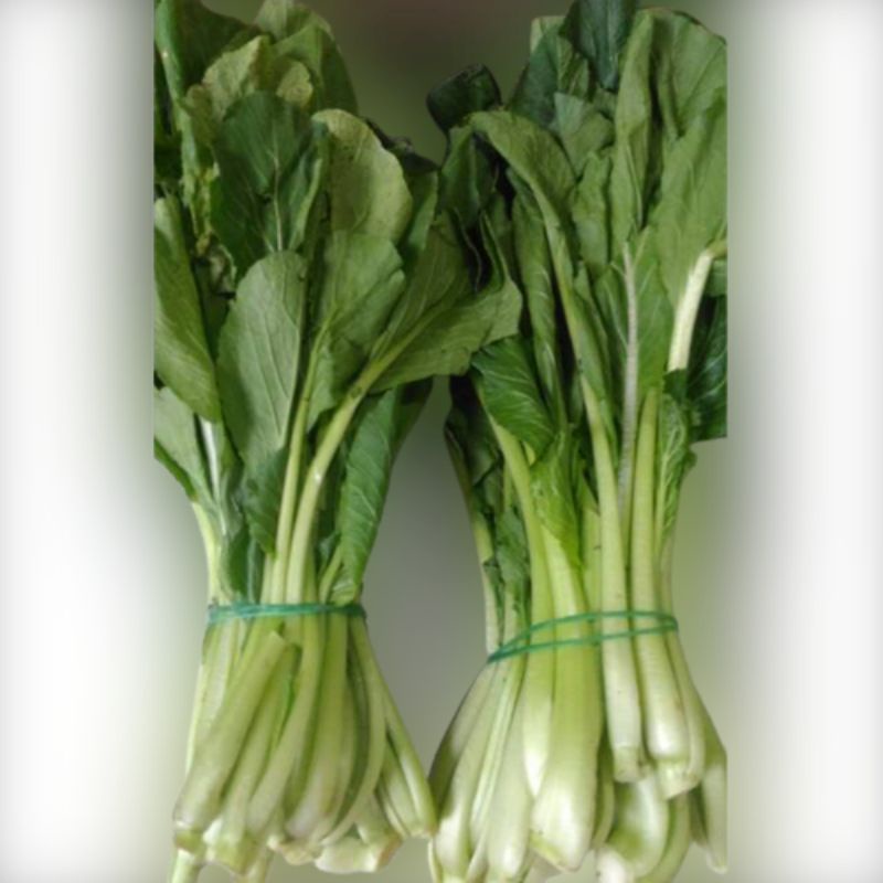 Jual Sawi Ijo Segar 500gr | Shopee Indonesia
