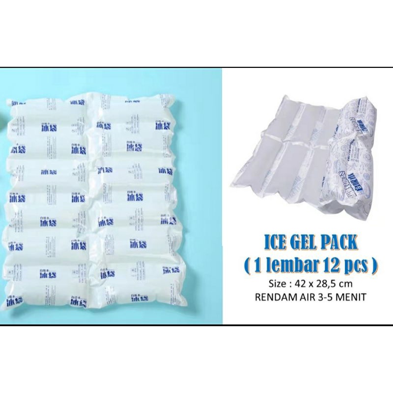 Jual ICE Gel pack BEKU lembaran besar pengganti dry ice | Shopee Indonesia
