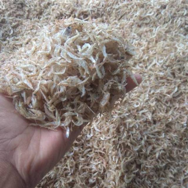 Jual Udang rebon | Shopee Indonesia