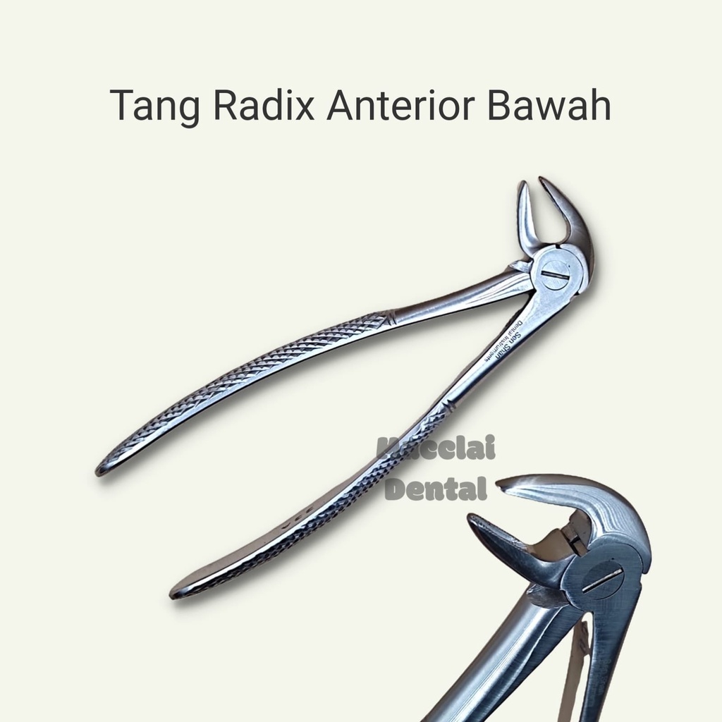 Jual DENTAL TANG CABUT GIGI DEWASA ECER / PER PCS TOOTH FORCEP SATUAN ...