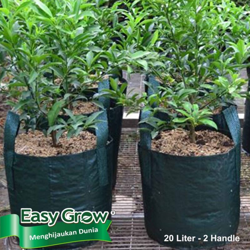 Jual PLANTER BAG 20 LITER EASY GROW / PLANTER.BAG / PLANTERBAG / PLATER ...