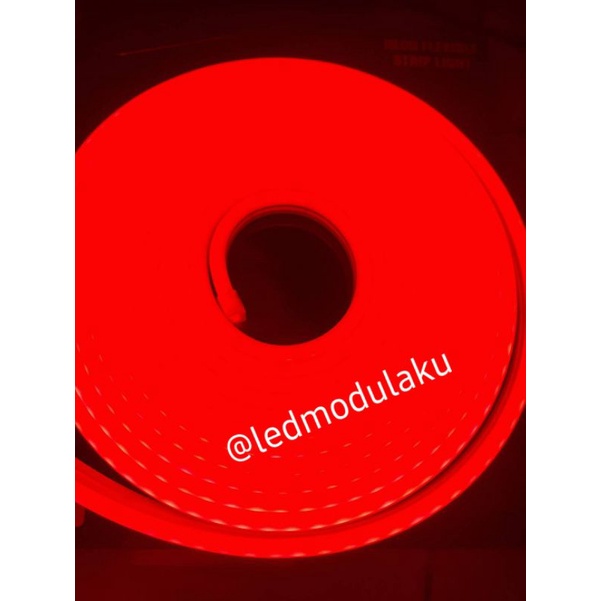 Jual Neon flex ip 65 300 LED 12V ( 5 meter) - led neon strip 12V - led ...
