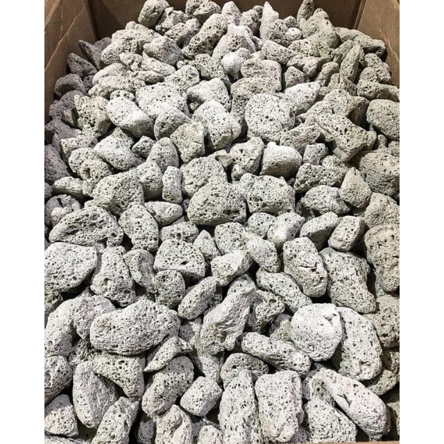 Jual crystal bio original size M 1pcs | Shopee Indonesia