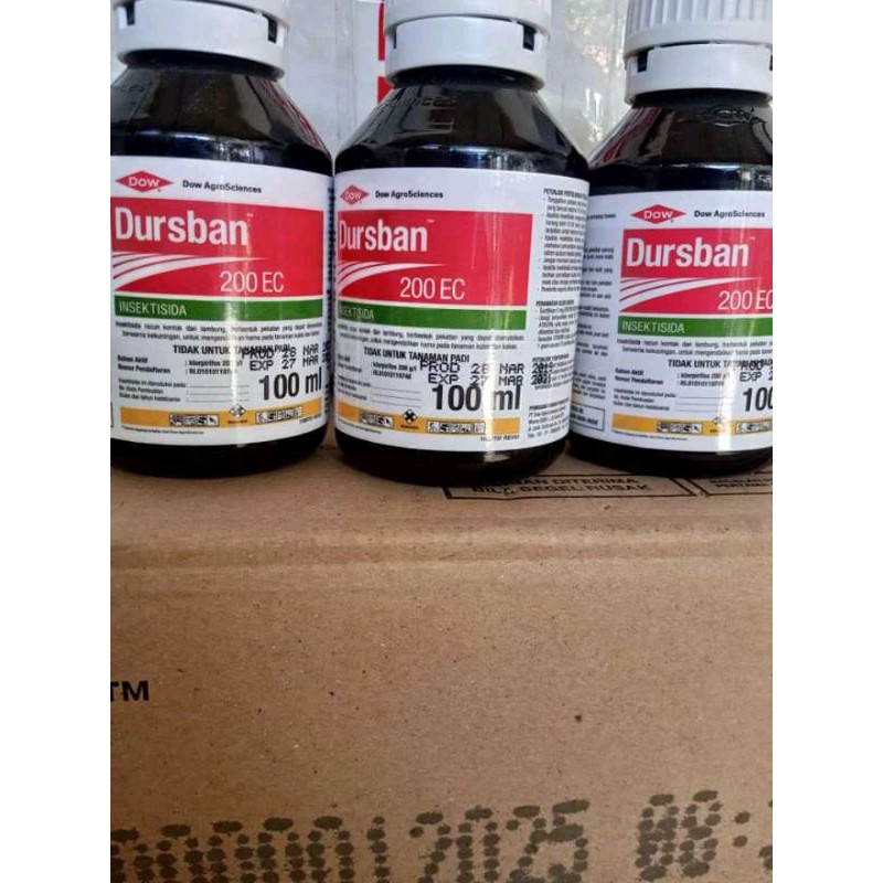Jual Obat Hama Dursban 100ml basmi kutu putih ulat daun belalang ...