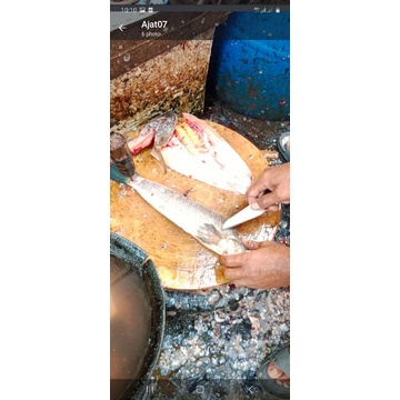 Jual ikan gabus fillet segar/1kg | Shopee Indonesia