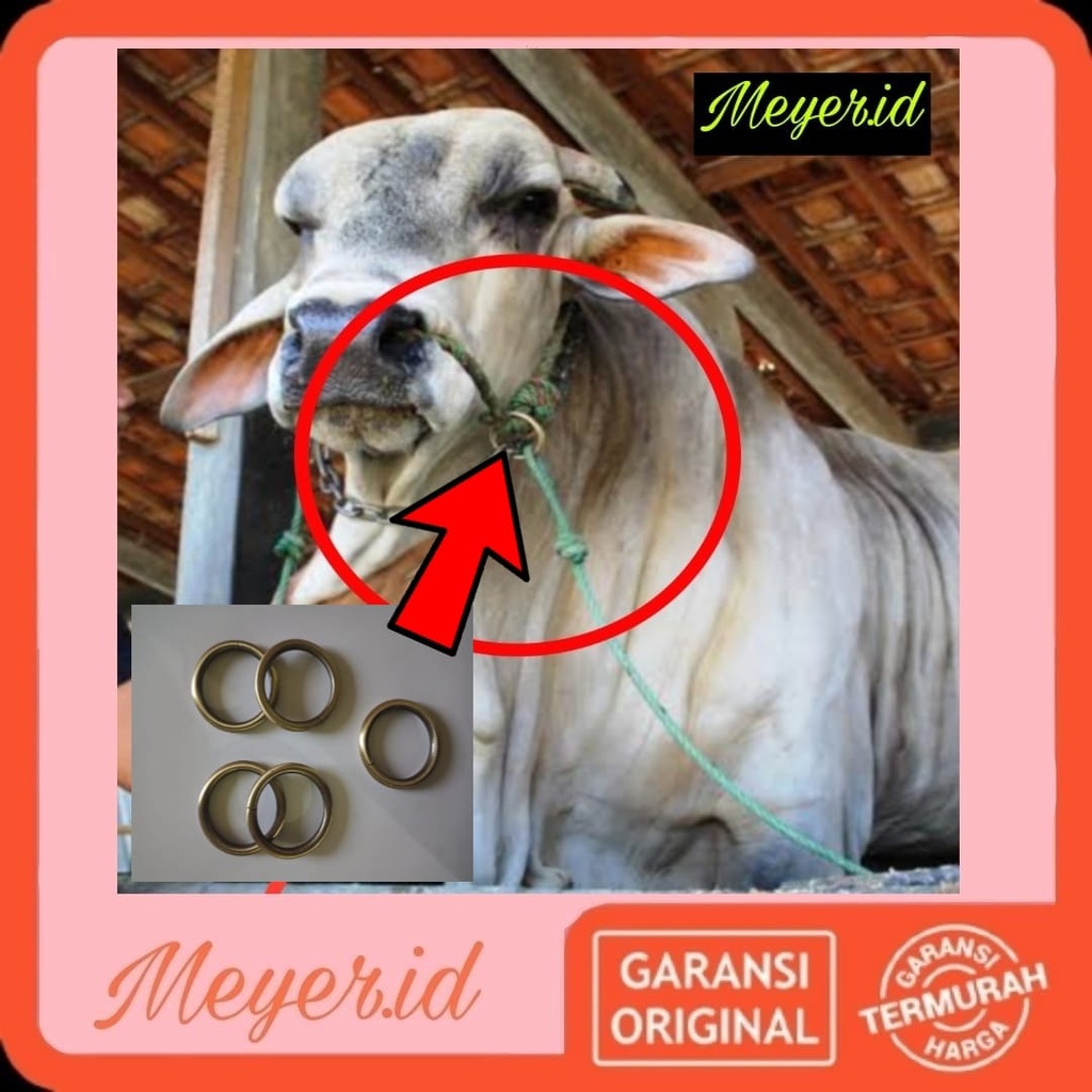 Jual [COD] RING TALI SAPI / RING O BULAT / RING BULAT STAINLES / RING ...