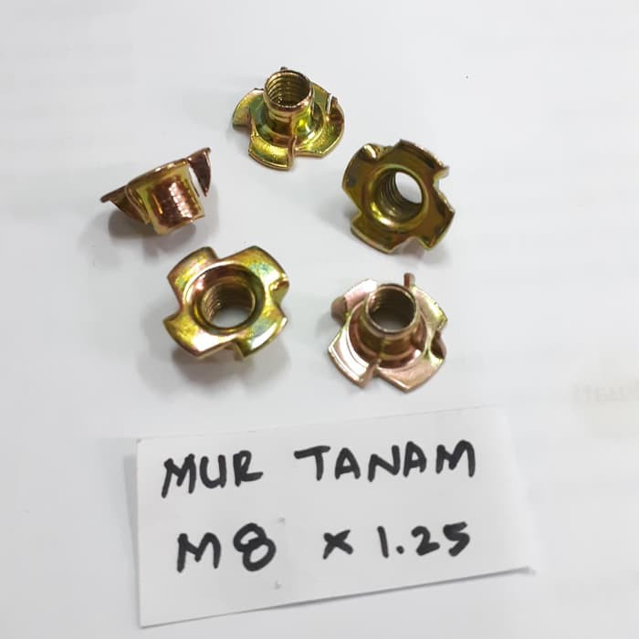 Jual Mur Tanam M8 per 10 pcs | Shopee Indonesia