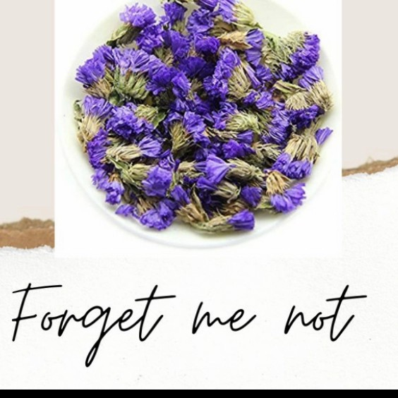 Jual forget me not tea 100gr / myosotis tea / teh bunga don't forget me ...