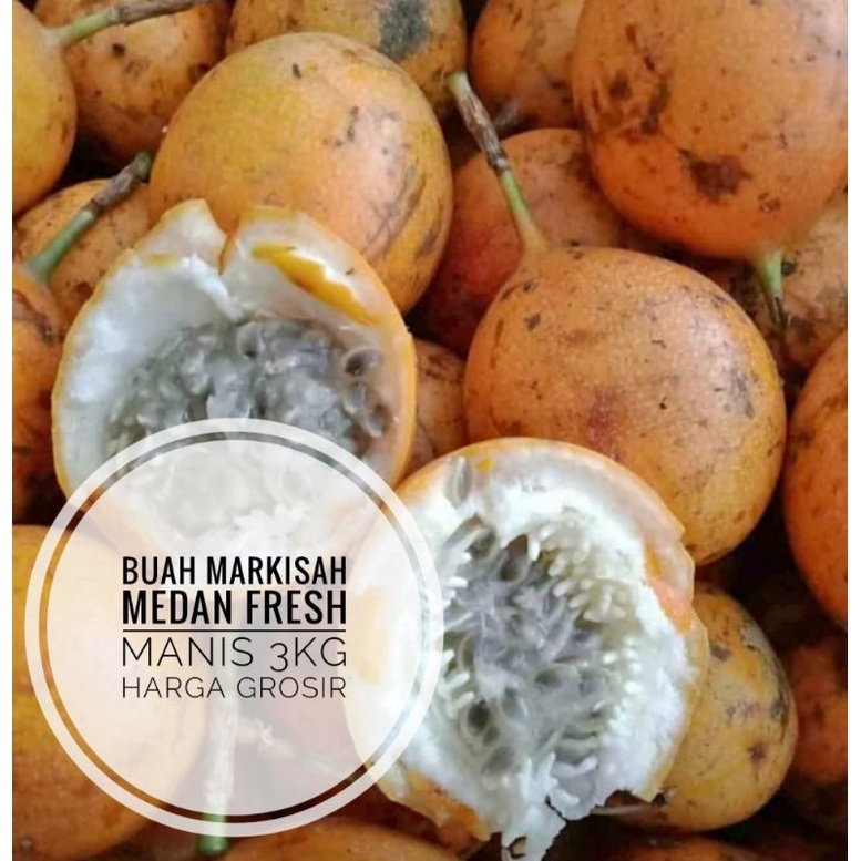 Jual BUAH MARKISAH MEDAN MANIS 3KG GROSIR | Shopee Indonesia