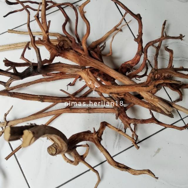 Jual Kayu Rasamala Akar Rasamala S | Shopee Indonesia