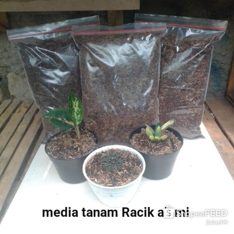 Jual Media Tanam multiguna | Shopee Indonesia