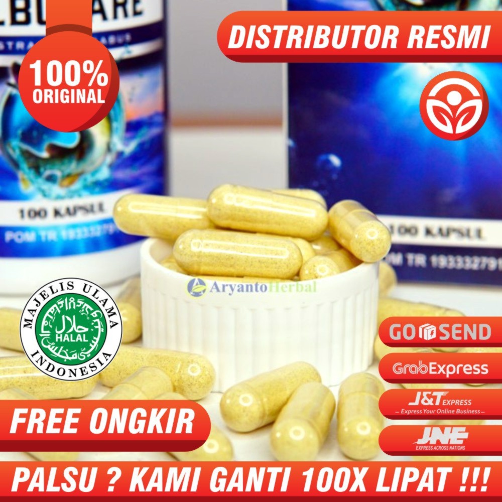 Jual Obat Penambah Hemoglobin / Penambah Dara Untuk Anemia, HB Kurang ...