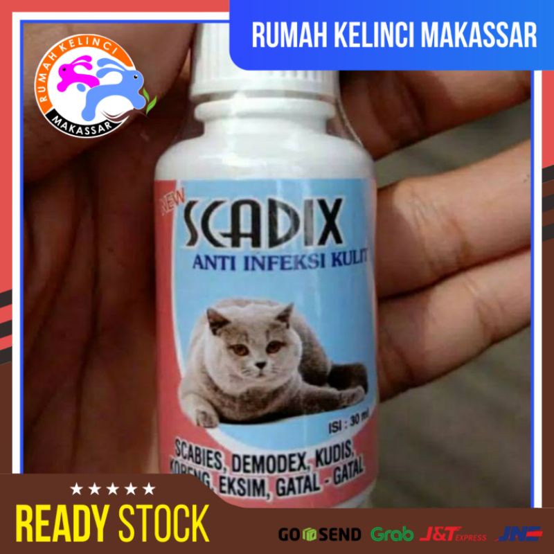 Jual SCADIX CAT SCADIX KUCING Obat Scabies Kucing Kudis Koreng Gatal ...