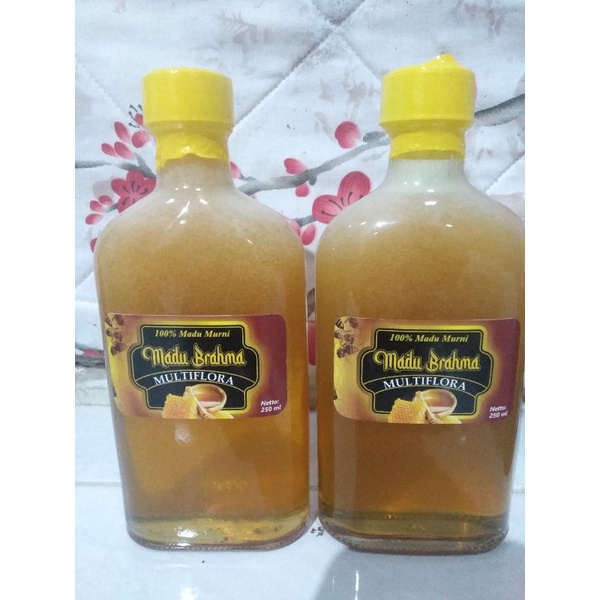 Jual Madu Multiflora full nektar 250ml | Shopee Indonesia