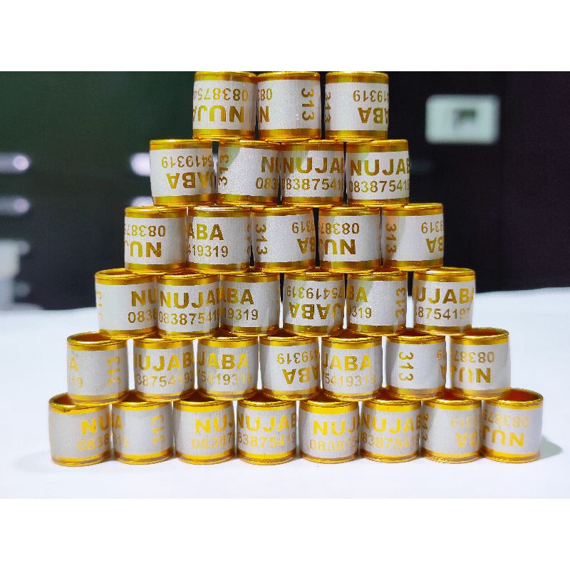 Jual isi 25 Ring merpati roda tinggi laser blok | Shopee Indonesia