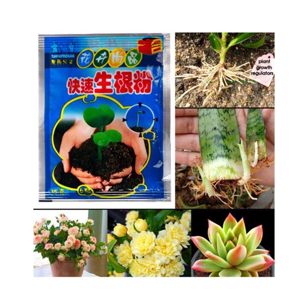 Jual Rapid Rooting Powder/ Penumbuh Akar – 10 gram | Shopee Indonesia