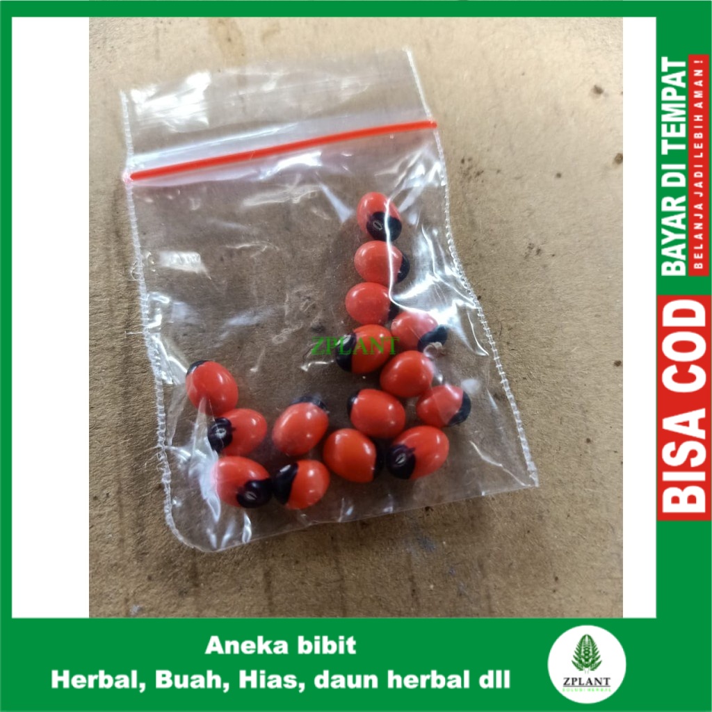 Jual Benih Biji Pohon Saga 15 Benih Tanaman Daun Saga Isi 15 Shopee Indonesia