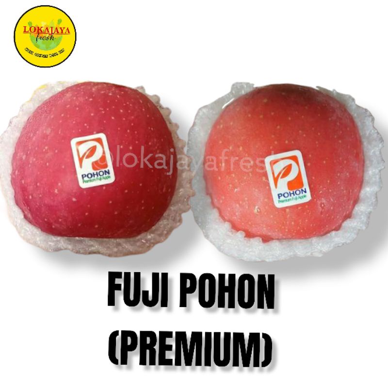 Jual Apel Fuji Pohon Premium 1 Kg | Shopee Indonesia