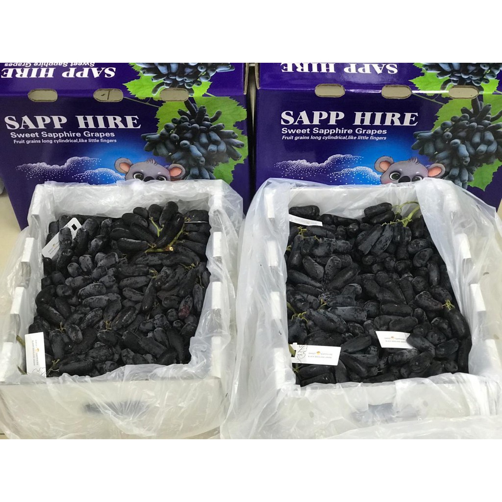 Jual Anggur Moondrop Sweet Sapphire (Tanpa Biji) | Shopee Indonesia