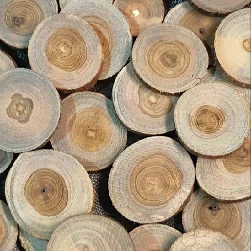Jual wood slice diameter 3 - 5 cm potongan log kayu jati bahan ...