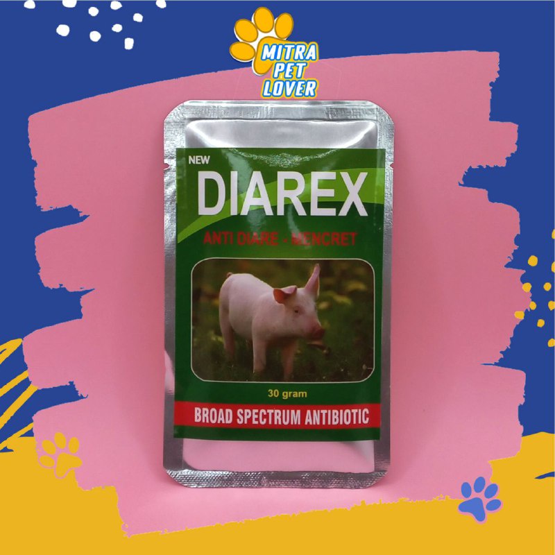 Jual OBAT DIARE BABI BUBUK - DIAREX PIG POWDER- OBAT ANTI MENCRET DIARE ...