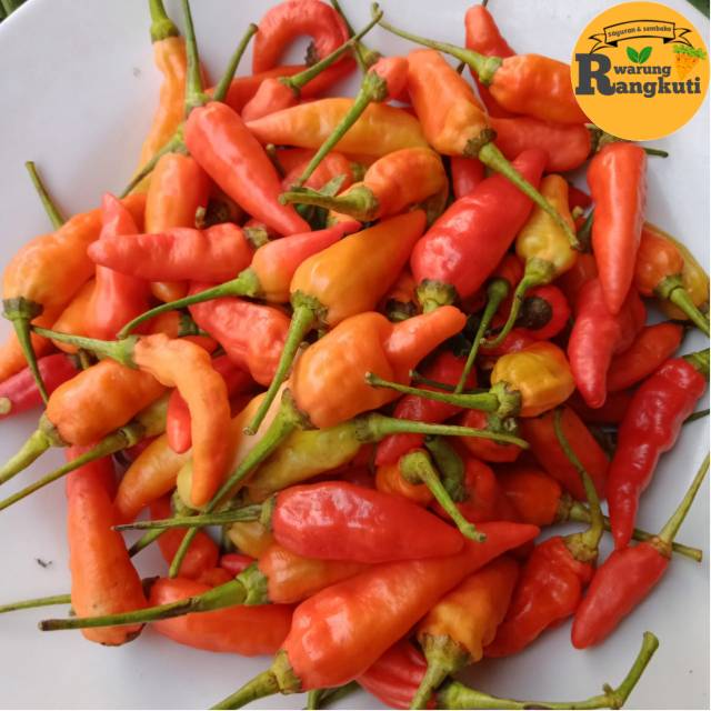 Jual Cabe Rawit Merah | Shopee Indonesia