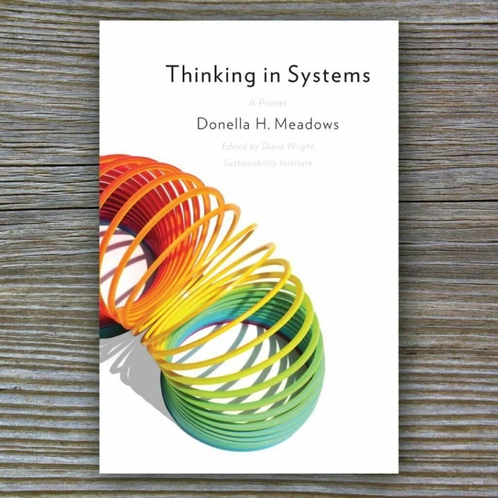 Jual Buku Thinking in Systems: A Primer by Donella H. Meadows | Shopee ...