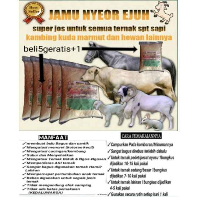 Jual JAMU NEOR EJUH UNTUK SEMUA TERNAK SPT SAPI KAMBING DOMBA KERBAU ...