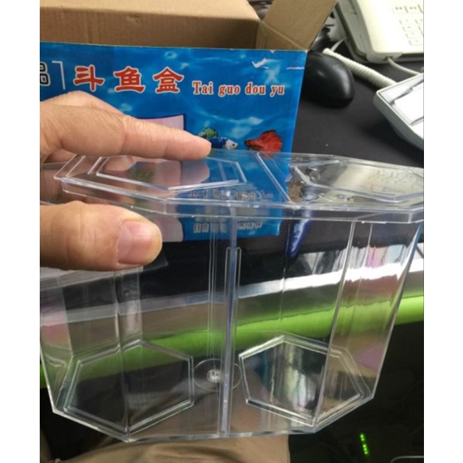 Jual Aquarium Cupang Double / Dual BettaHex Kit / Akuarium Cupang ...