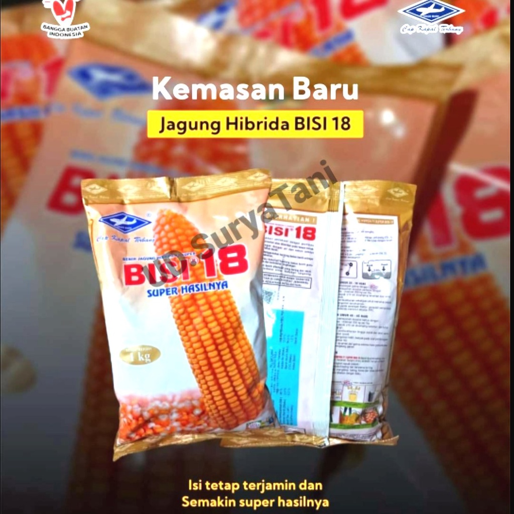 Jual Benih jagung hibrida Bisi 18 isi 1kg jagung bisi18 bibit jagung ...