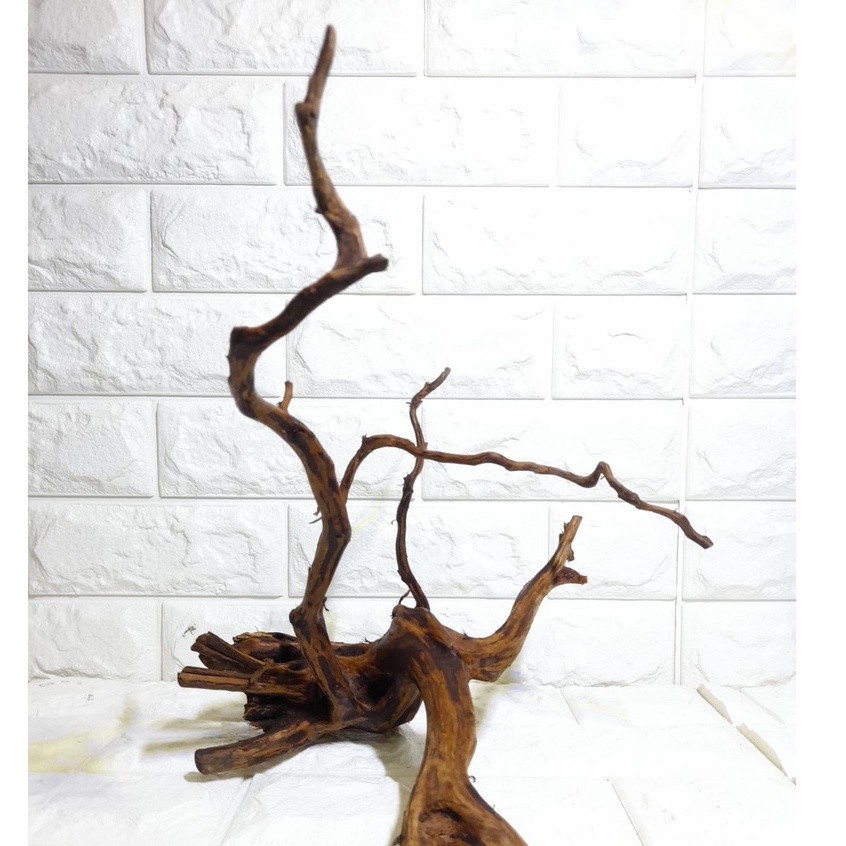 Jual AKAR RASAMALA KAYU RASAMALA AQUASCAPE SIZE M 25CM KAYU AKAR ...